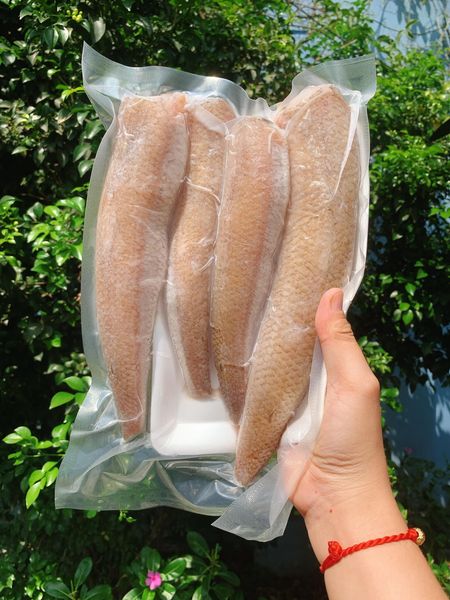 cá bống bán sỉ - Tinicart.vn - Sàn đăng tin mua bán Nông sản giá sỉ